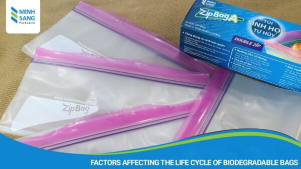 The Life Cycle of Biodegradable Bags: From Production to Decomposition ...
